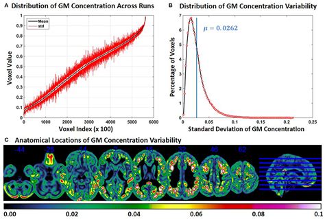 Frontiers Influence Of Group On Individual Subject Maps In Spm Voxel