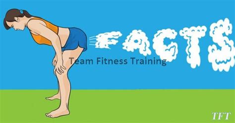 12 Facts About Farting You Probably Didnt Know Trainhardteam