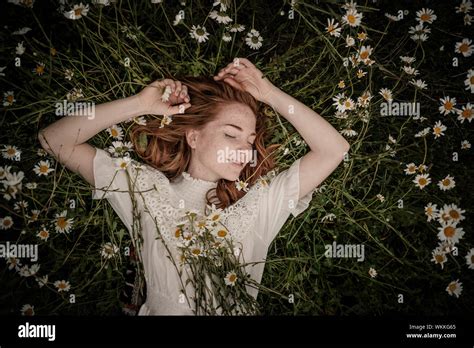 Beautiful Woman Enjoying Daisy Field Nice Female Lying Down In Meadow