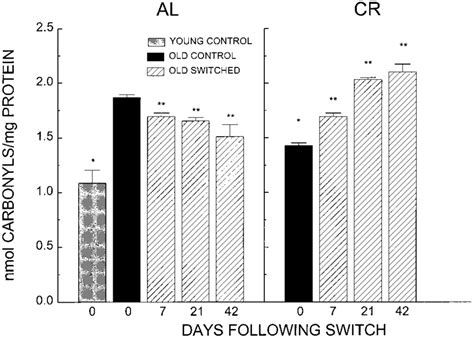 Effects Of Age And Short Term And Long Term Caloric Restriction Cr On