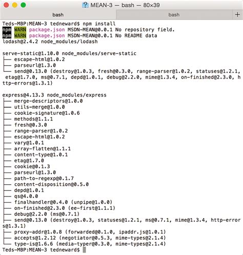 the working programmer how to be mean express install