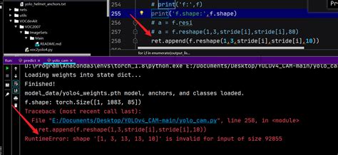 cam runtimeerror shape [1 3 13 13 10] is invalid for input of
