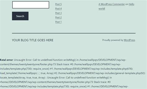 wordpress debug mode unsere debugging tipps raidboxes®