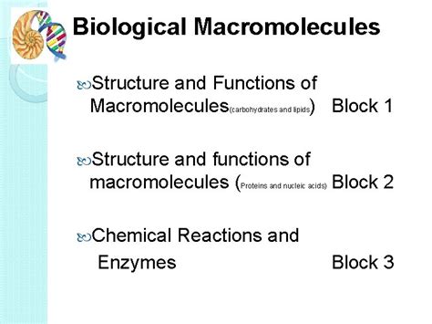 Biological Macromolecules Natures Building Blocks Biological