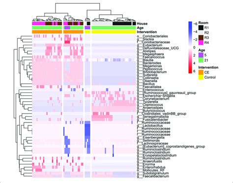 Heatmap Representing The Abundance Of Amplicon Sequence Variants