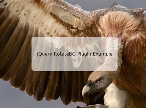 3d rotating content slideshow with jquery and css3 free