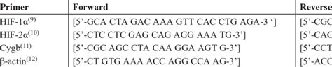 Primer Sequences Of Hif 1α Hif 2α Cygb And β Actin Download