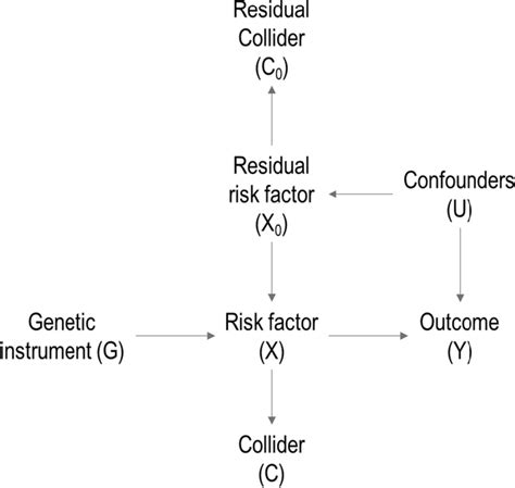 Augmented Directed Acyclic Graph Dag To Demonstrate The Validity Of