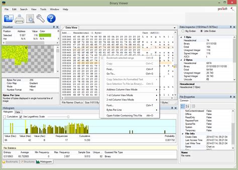 binary viewer page