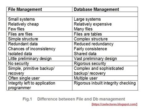 difference between file management and database management database