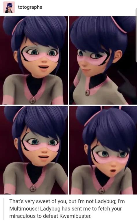 Pin By Kimberly Lemons On Miraculous Ladybug And Chat Noir Miraculous