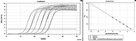 Fab Amplification Plot A And Standard Curve B From 10 Fold Serial