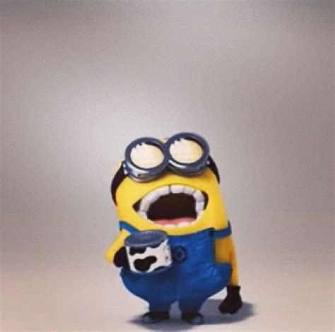 Minion Minions Frases