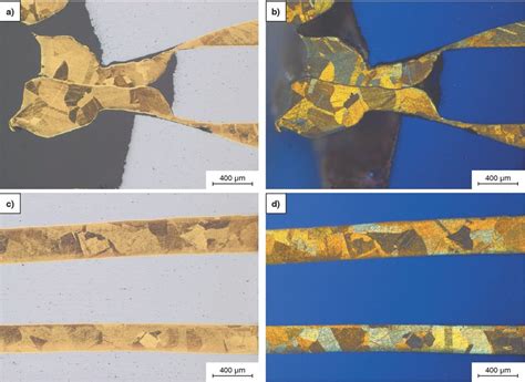 Metallographic Characterization Of A Gold Steel Composite