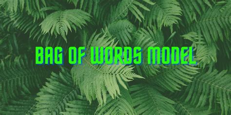 creating bag of words model from scratch in python askpython