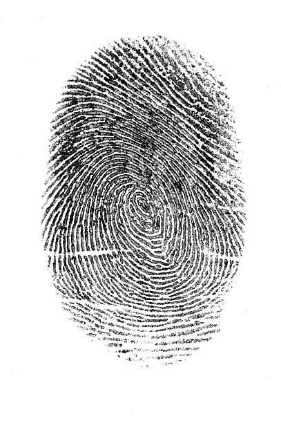 extract objects fingerprint and signature from an image using opencv images