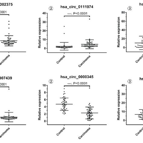 Validation Of The Expression Level Of Six Selected Circrnas A The