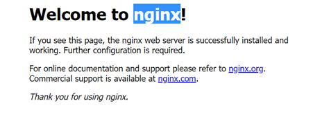 angularjs nginx alpine config not correctly work with dockerimage