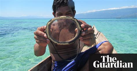 mystery of sea nomads amazing ability to freedive is solved science