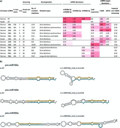 Mirna Abundance Correlates With The Number And Type Of Crispr Induced