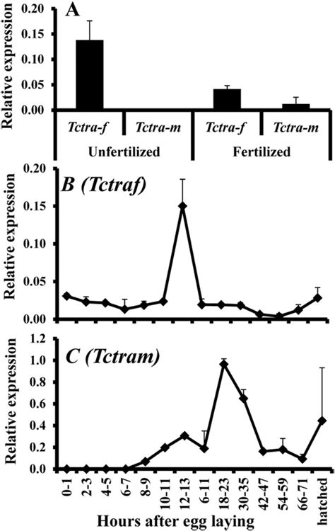 Sex Determination In Beetles Production Of All Male Progeny By