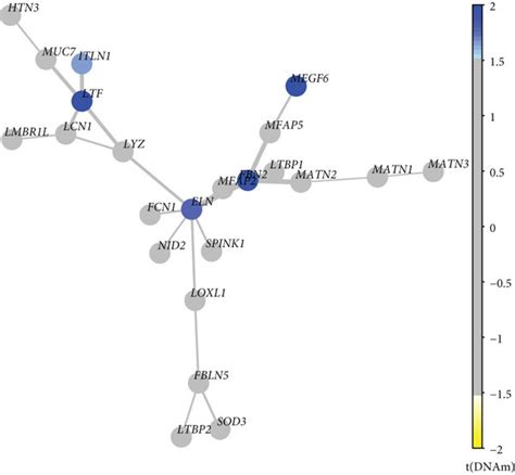 The Core Gene Interaction Network Diagram Was Analyzed Using A