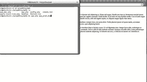 configure symfony for debugging youtube