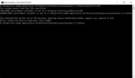 java 8 installation of wso2 application server 5 3 0 stack overflow