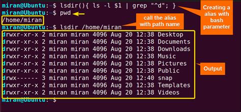 Parameters In Bash Scripting Linuxsimply