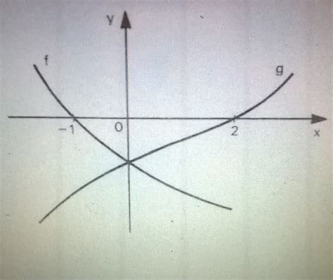 Na Figura Estão Esboçados Os Gráficos Das Funções F E G O Conjunto {x