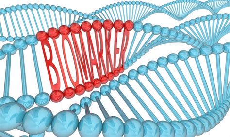 Biomarkers Explained 6 Key Biomarkers For Performance And Health