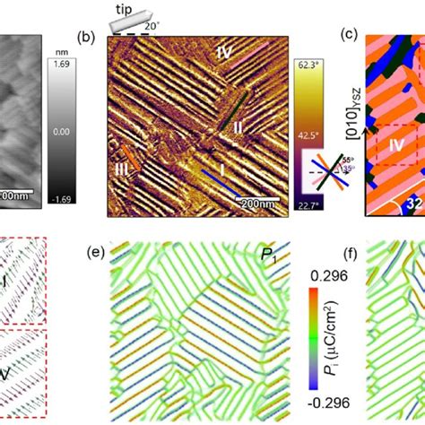 Ferroelastic Twin Domains From In Plane Pfm And Phase Field Simulation
