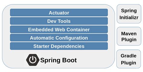 spring basics training