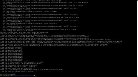 runtimeerror cuda error an illegal memory access was encountered
