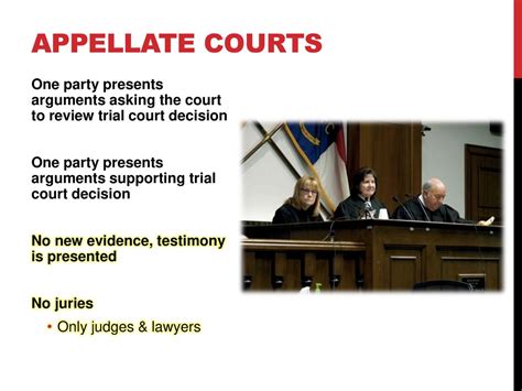 Courts Judges And The Law Ppt Download