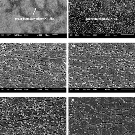 A Microstructure Of As Cast Cu Ni Si Alloy B Intragranular