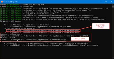 jupyter lab error out in windows subsystem for linux wsl2 · issue