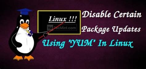 fdupes a command line tool to find and delete duplicate files in linux