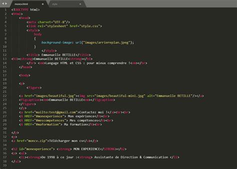 problème lien fichier html css par emmanuellebetille page 1