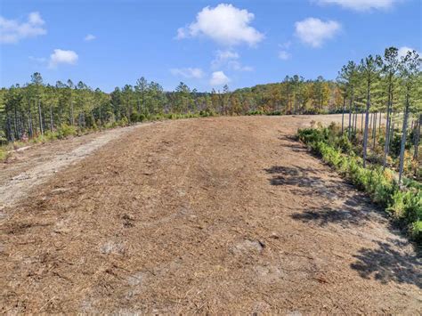 High Point Tract 1 Country Tracts Georgia Land For Sale