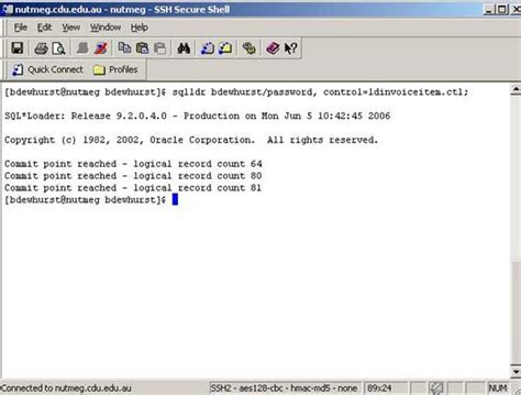 using sql loader