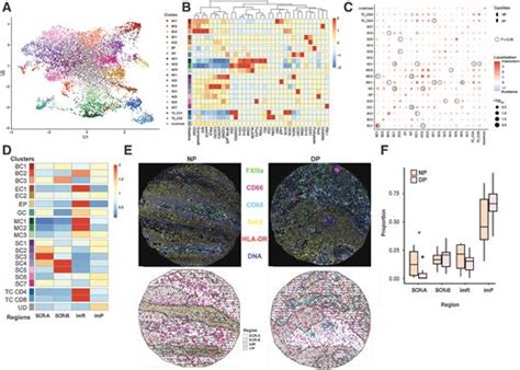 High Dimensional And Spatial Analysis Reveals Immune Landscape