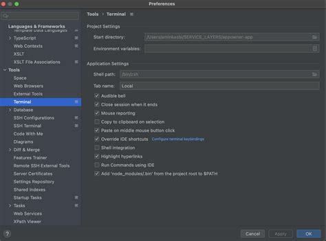 intellij terminal not working nodejs version ides