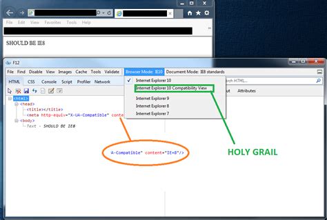 internet explorer force ie10 to run in ie10