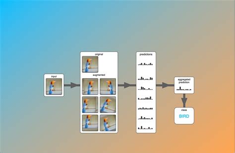 how to correctly use test time data augmentation to improve predictions