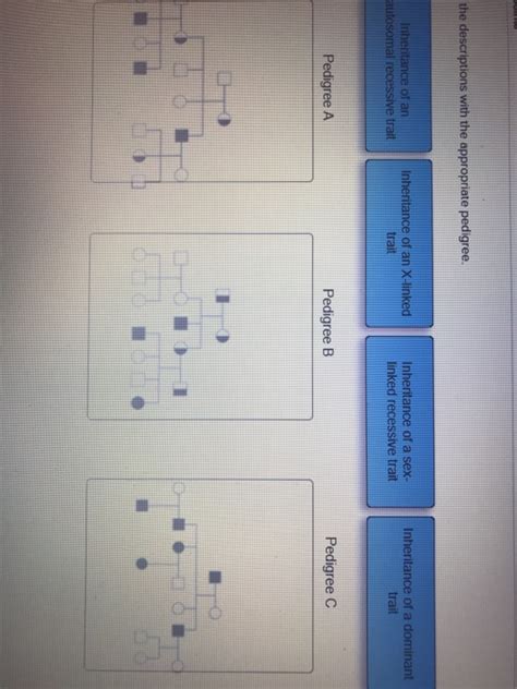 solved the descriptions with the appropriate pedigree inh