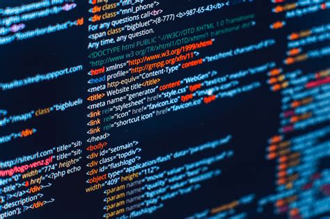 what s the difference between a web designer and web