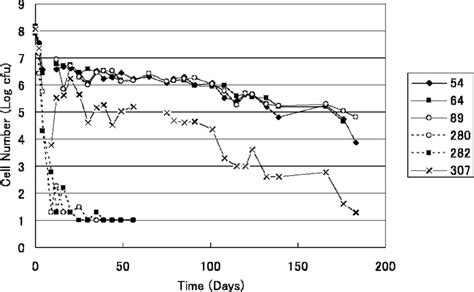 Long Term Experiments On The Survival Of Salmonella Strains With Either