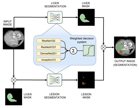 Bioengineering Free Full Text Decision Support System For Liver