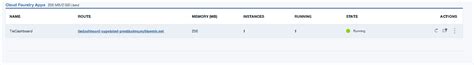 node js angular application deploy on bluemix route